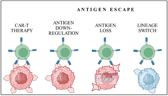 Overcoming Antigen Escape and T-Cell Exhaustion in CAR-T Therapy for ...