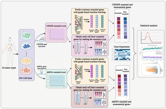 Systematic Comparison of CRISPR and shRNA Screens to Identify Essential ...