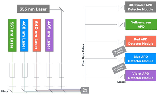The Power of Reagent Titration in Flow Cytometry