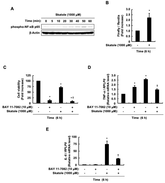 Molecular Mechanisms of Skatole-Induced Inflammatory Responses in ...