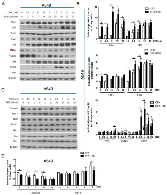 Inhibition of Chk1 with Prexasertib Enhances the Anticancer Activity of ...