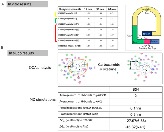 p70S6K as a Potential Anti-COVID-19 Target: Insights from Wet Bench and ...