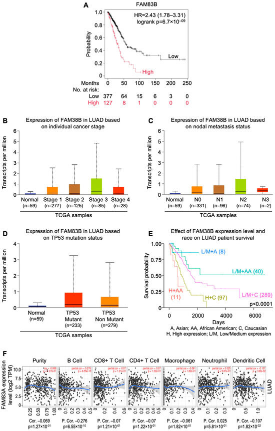 Prognostic Indicators for Precision Treatment of Non-Small Cell Lung Carcinoma