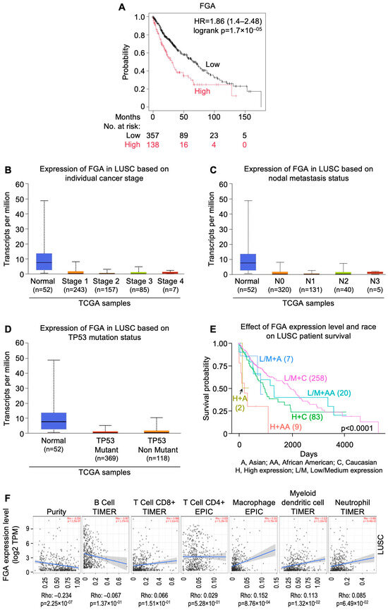 Prognostic Indicators for Precision Treatment of Non-Small Cell Lung ...