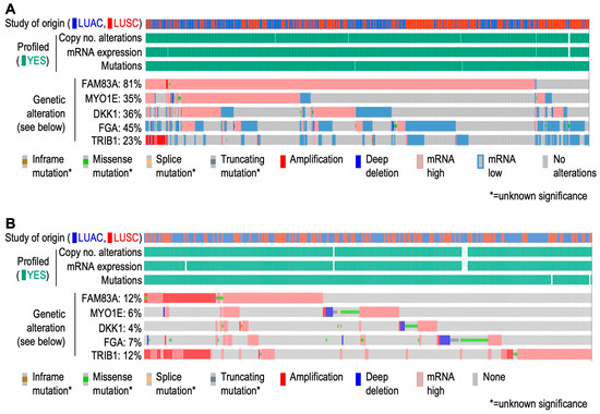 Prognostic Indicators for Precision Treatment of Non-Small Cell Lung ...