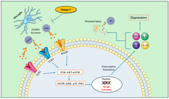 Omega-3 Fatty Acids and Neuroinflammation in Depression: Targeting ...