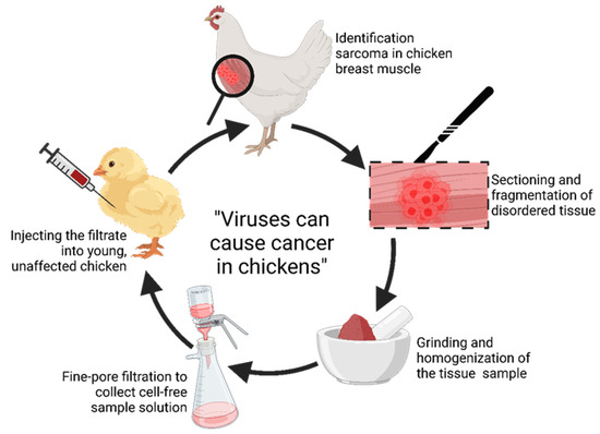 Avian Models for Human Carcinogenesis—Recent Findings from Molecular ...