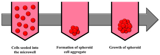 Fish Cell Spheroids, a Promising In Vitro Model to Mimic In Vivo ...