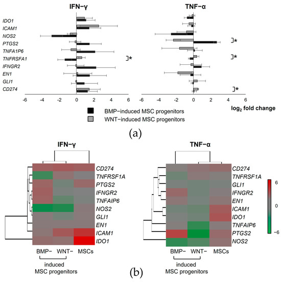 Initial WNT/β-Catenin or BMP Activation Modulates Inflammatory Response ...