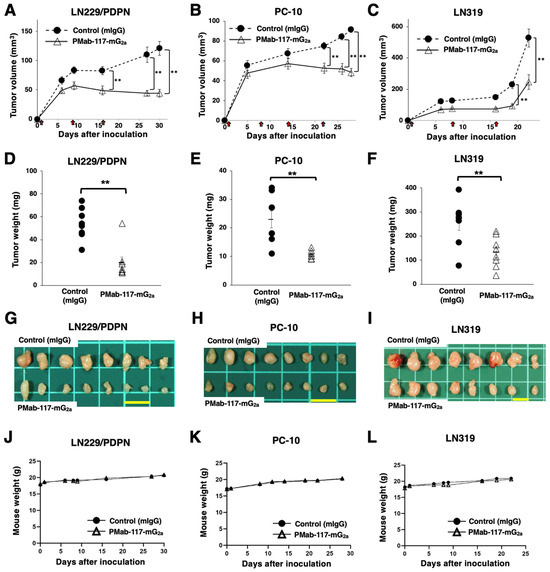 A Cancer-Specific Anti-Podoplanin Monoclonal Antibody, PMab-117-mG2a ...