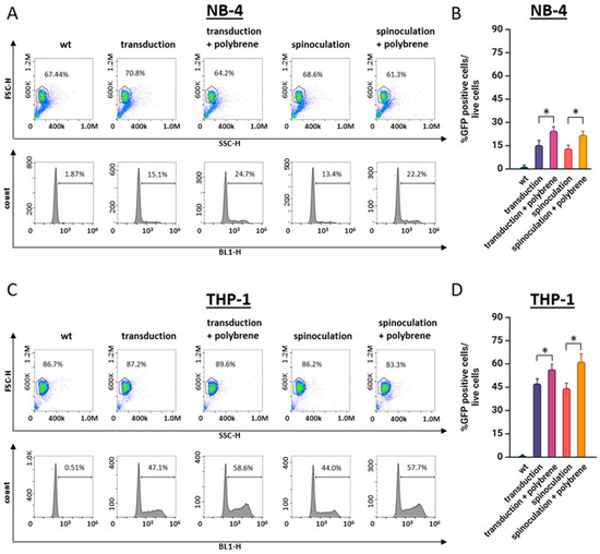 Enhancing Gene Delivery in NB-4 Cells: Overcoming Transduction and ...