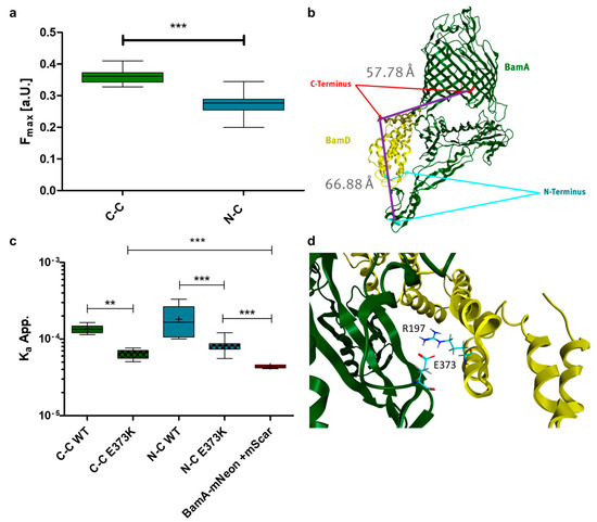 Förster Resonance Energy Transfer Measurements in Living Bacteria for ...