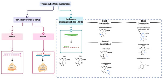 Clinical Applications of Antisense Oligonucleotides in Cancer: A Focus ...
