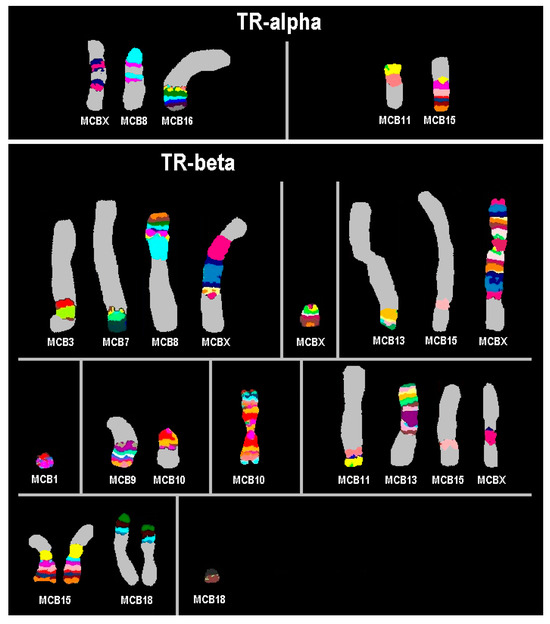 Cytogenomic Characterization of Murine Neuroblastoma Cell Line Neuro-2a ...