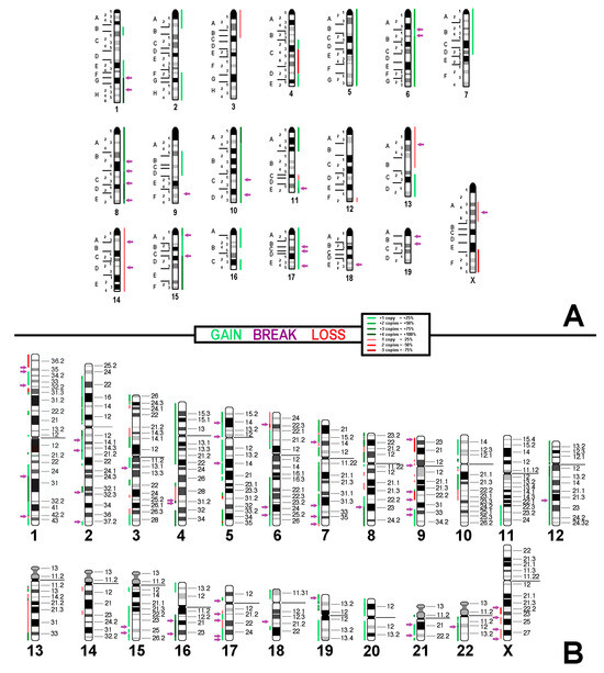Cytogenomic Characterization of Murine Neuroblastoma Cell Line Neuro-2a ...