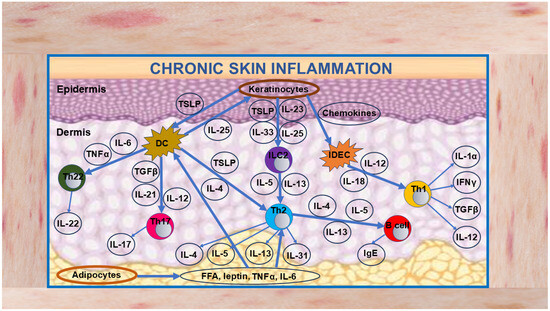 Resolution of Chronic Inflammation, Restoration of Epigenetic ...