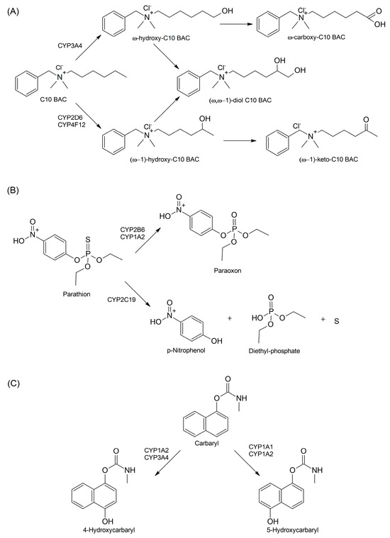 Human Cytochrome P450 Cancer-Related Metabolic Activities and Gene ...
