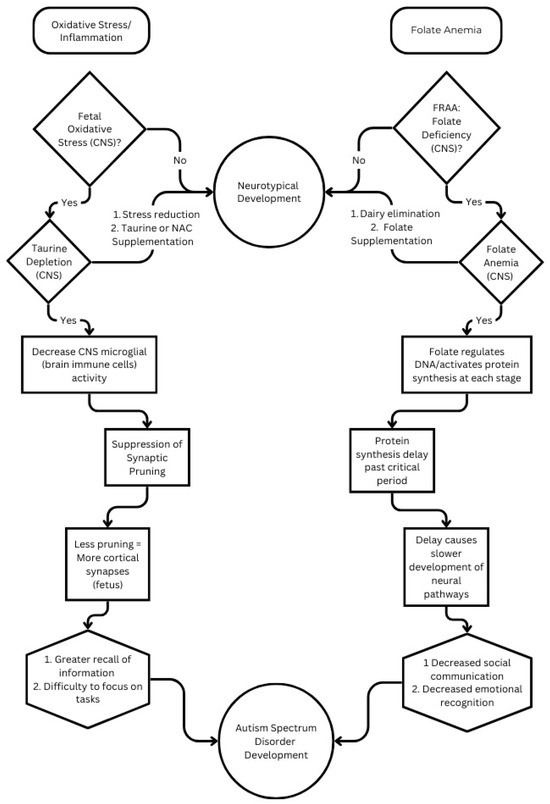 Neurodevelopment of Autism: Critical Periods, Stress and Nutrition