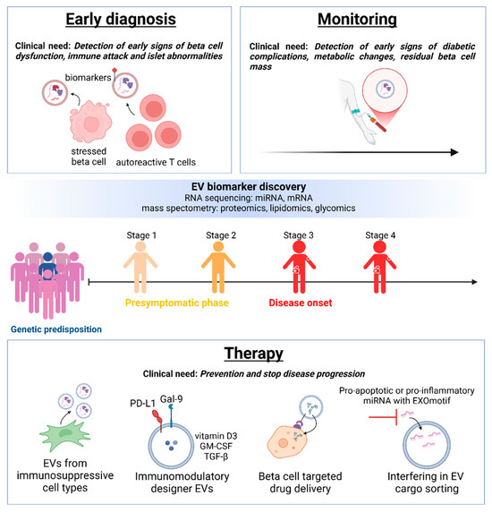 Beta-Cell-Derived Extracellular Vesicles: Mediators of Intercellular ...