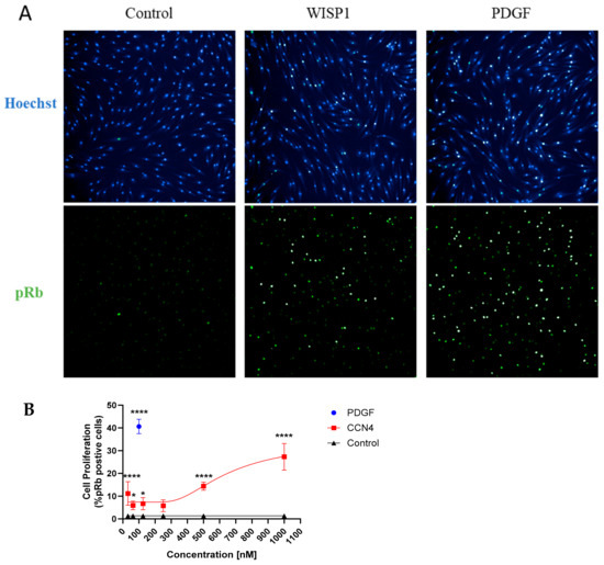 Stage-Dependent Fibrotic Gene Profiling of WISP1-Mediated Fibrogenesis ...