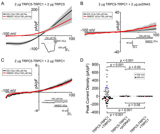 Effects of TRPC1’s Lysines on Heteromeric TRPC5-TRPC1 Channel Function