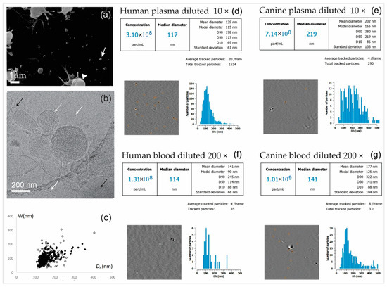 Assessment of Extracellular Particles Directly in Diluted Plasma and ...
