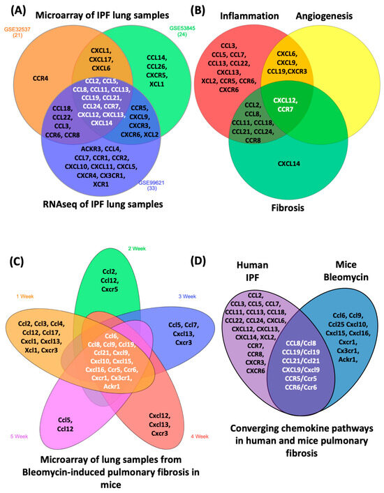 The Chemokine System as a Key Regulator of Pulmonary Fibrosis ...