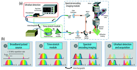 Recent Technologies on 2D and 3D Imaging Flow Cytometry