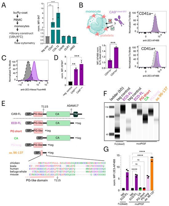 Discovery of Carbonic Anhydrase 9 as a Novel CLEC2 Ligand in a Cellular ...