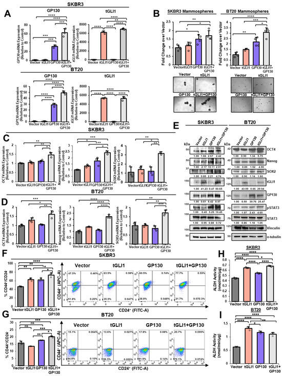 Co-Inhibition of tGLI1 and GP130 Using FDA-Approved Ketoconazole and ...