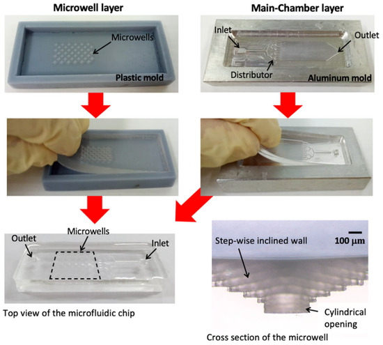 Development of Pyramidal Microwells for Enhanced Cell Spheroid ...