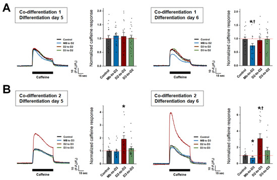 Immature Skeletal Myotubes Are an Effective Source for Improving the ...
