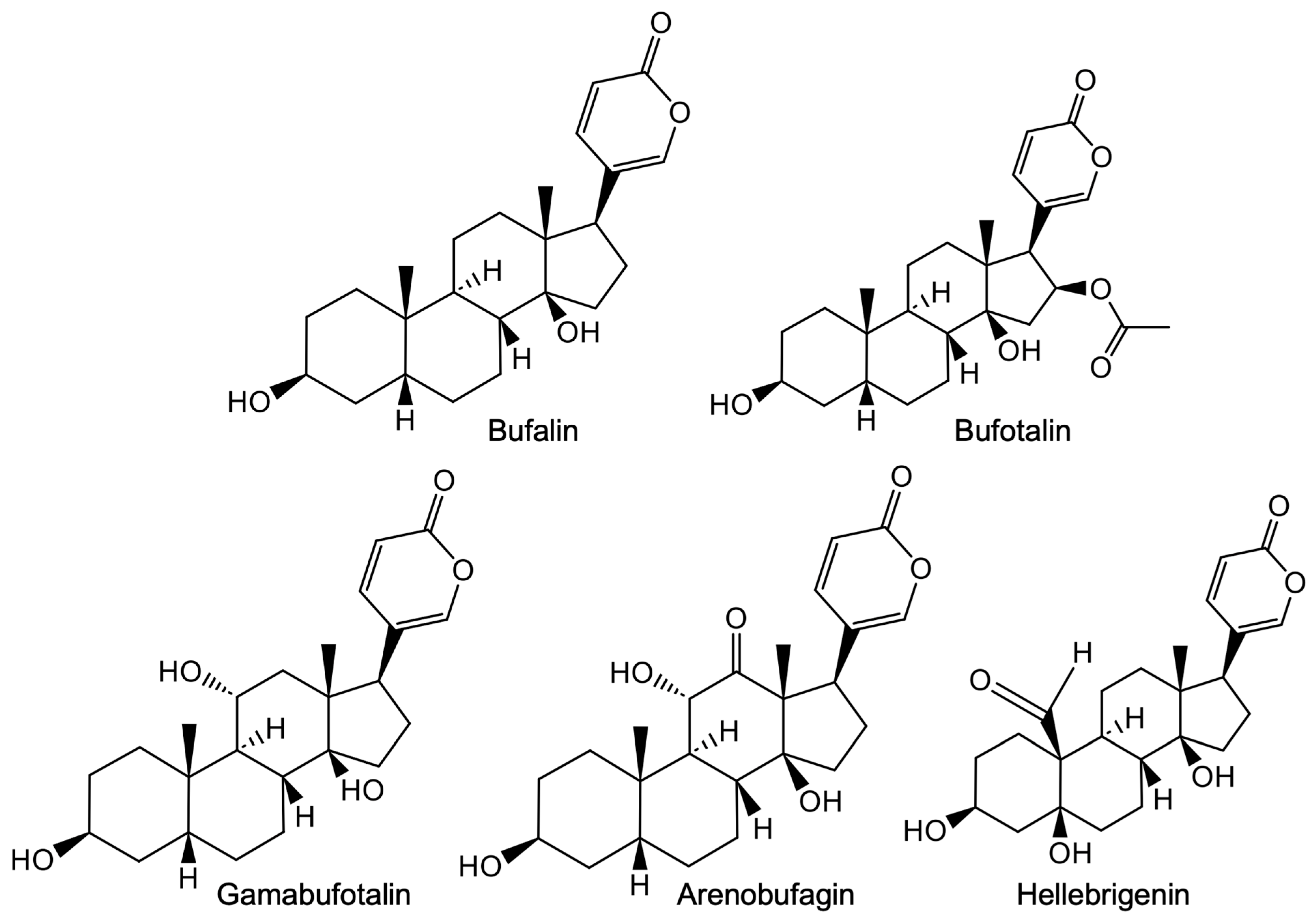 Harnessing Arsenic Derivatives and Natural Agents for Enhanced ...