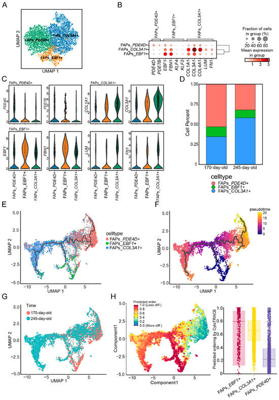 Single-Nucleus RNA Sequencing Reveals Cellular Transcriptome Features ...