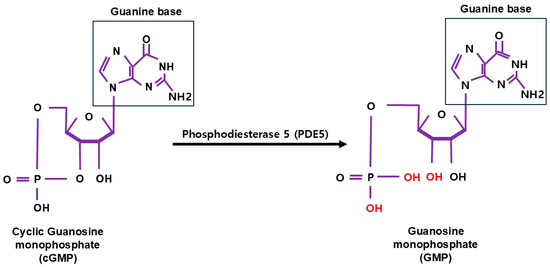 Modulation of Second Messenger Signaling in the Brain Through PDE4 and ...