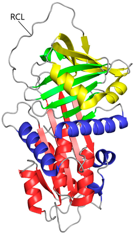 Alpha-1 Antitrypsin as a Regulatory Protease Inhibitor Modulating ...