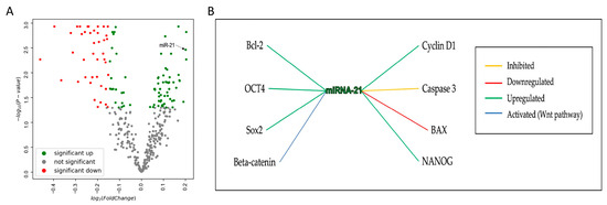 MicroRNA-21 as a Regulator of Cancer Stem Cell Properties in Oral Cancer