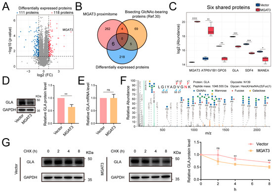 Proximity Labeling-Based Identification of MGAT3 Substrates and ...