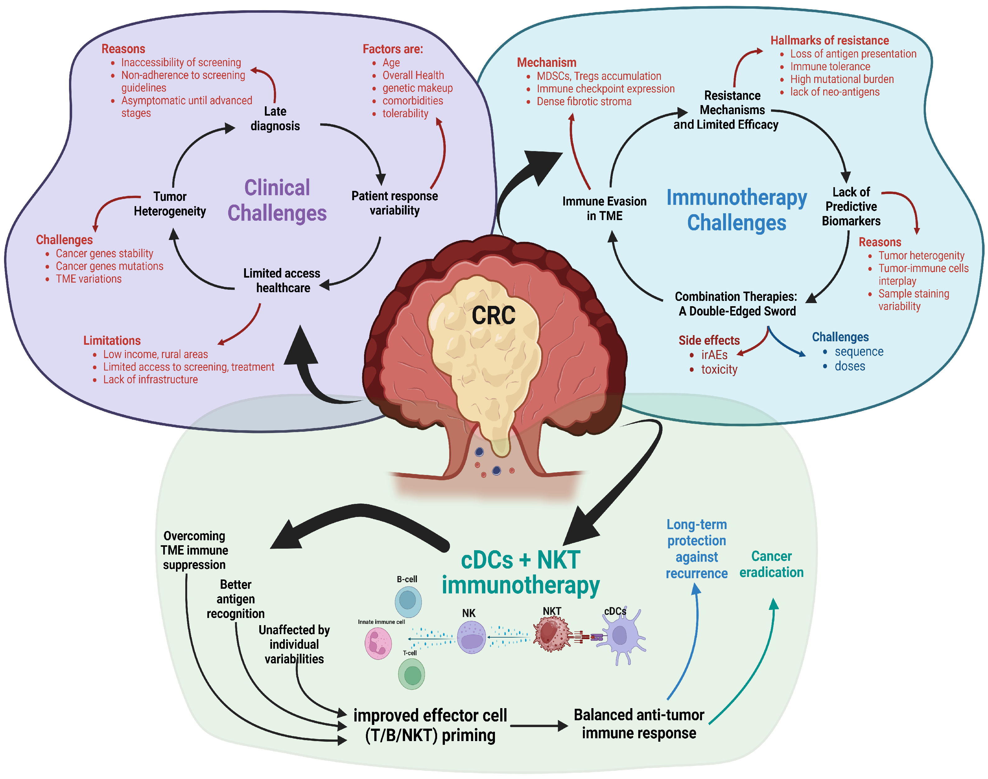 Promising Cellular Immunotherapy for Colorectal Cancer Using Classical ...