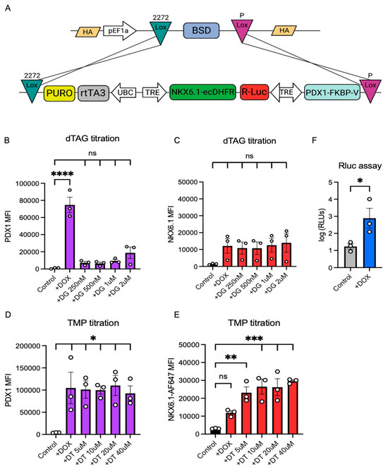 A Recombinase-Mediated Cassette Exchange Platform for a Triple ...