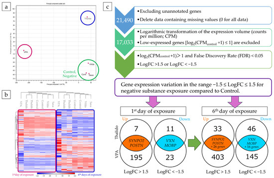 Comprehensive Search for Genes Involved in Thalidomide Teratogenicity ...