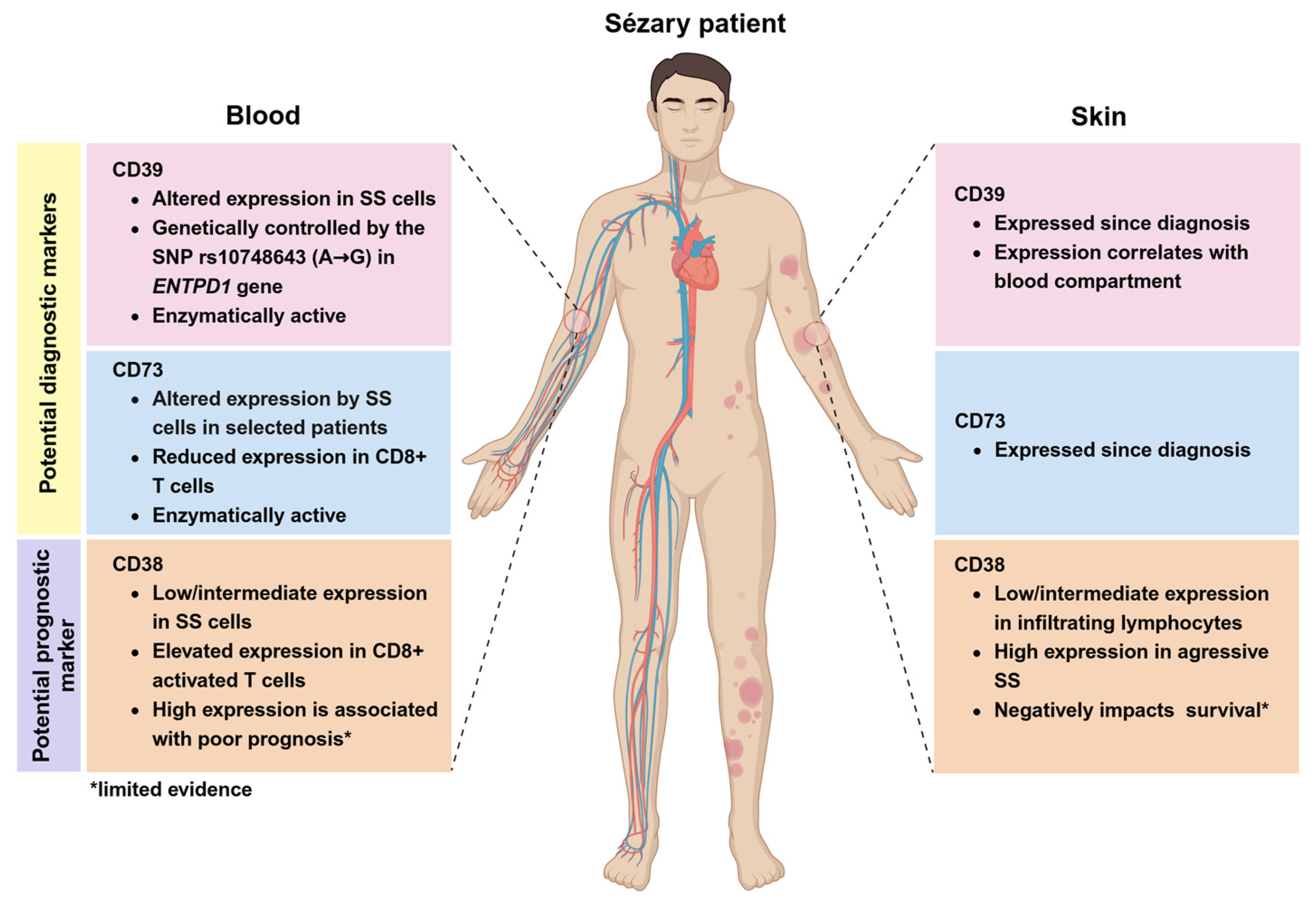The CD39/CD73/Adenosine and NAD/CD38/CD203a/CD73 Axis in Cutaneous T-Cell Lymphomas
