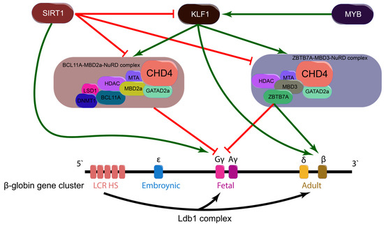 Exploratory Review and In Silico Insights into circRNA and RNA-Binding ...