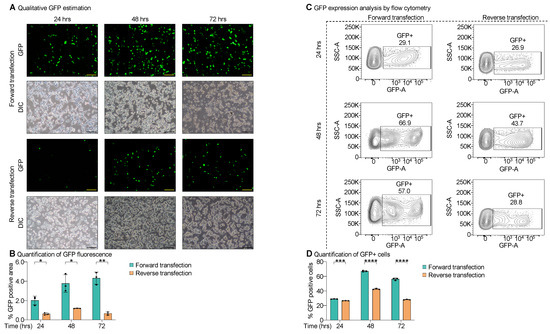 Development and Validation of AAV-Mediated Liver, Liver-VAT, and Liver ...