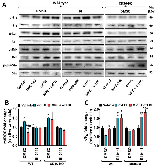 Selective Azapeptide CD36 Ligand MPE-298 Regulates oxLDL-LOX-1-Mediated ...