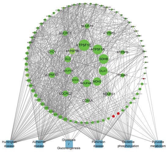 Adaptive Thermogenesis and Lipid Metabolism Modulation in Inguinal and ...