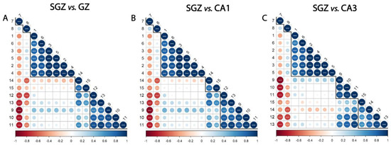 SR-FTIR Biomolecular Characterization of the Hippocampus: The Role of ...