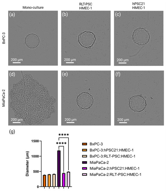 Capturing the Heterogeneity of the PDAC Tumor Microenvironment: Novel ...