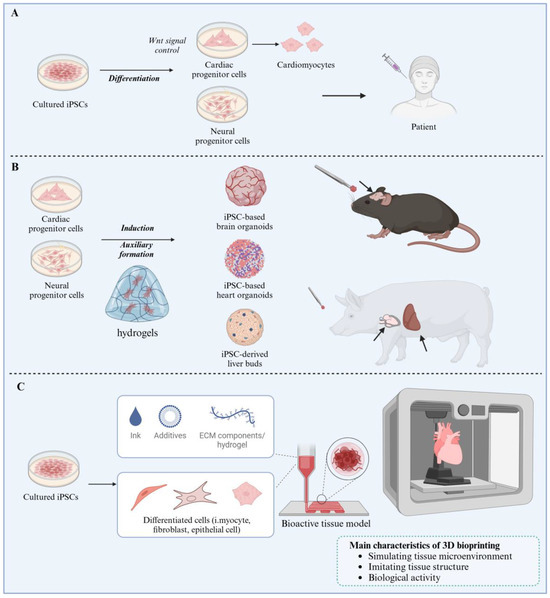 Induced Pluripotent Stem Cells-Based Regenerative Therapies in Treating ...