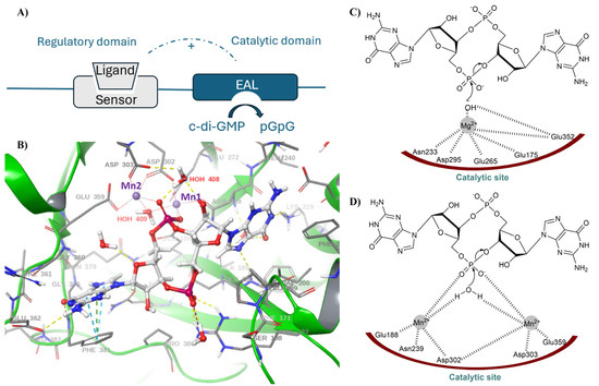 Inhibitors of Cyclic Dinucleotide Phosphodiesterases and Cyclic ...